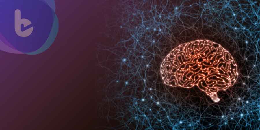 長庚團隊發現「平腦症」致病新基因—CEP85L – 生醫觀點BioMed｜關注生醫 分享觀點